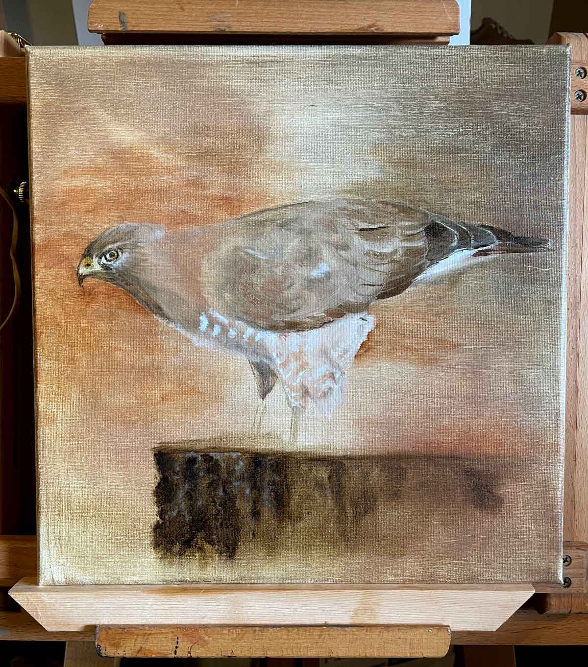 Dinner Time | Broad-winged Hawk Painting #2
